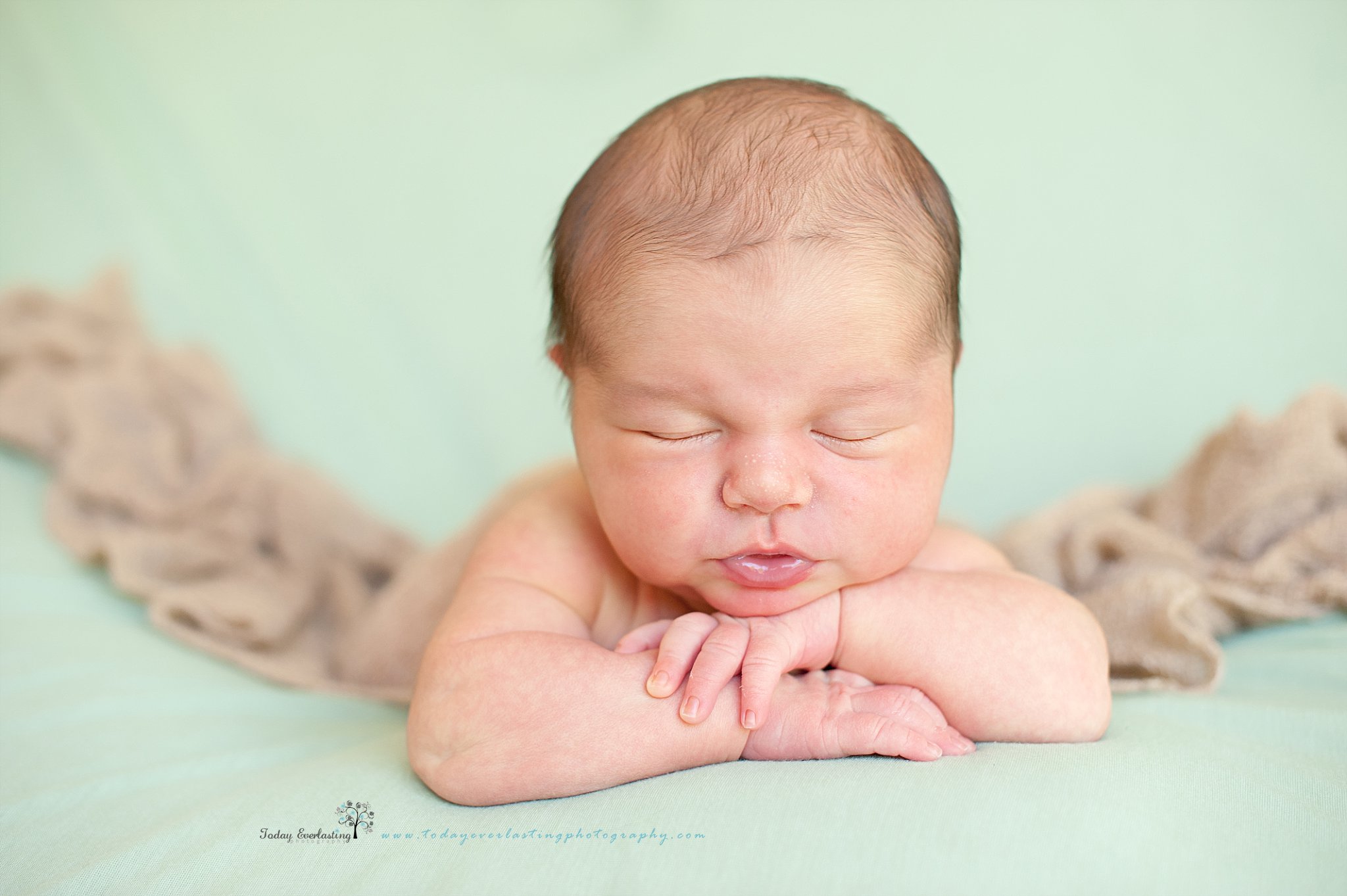 Newborns - Today Everlasting Photography